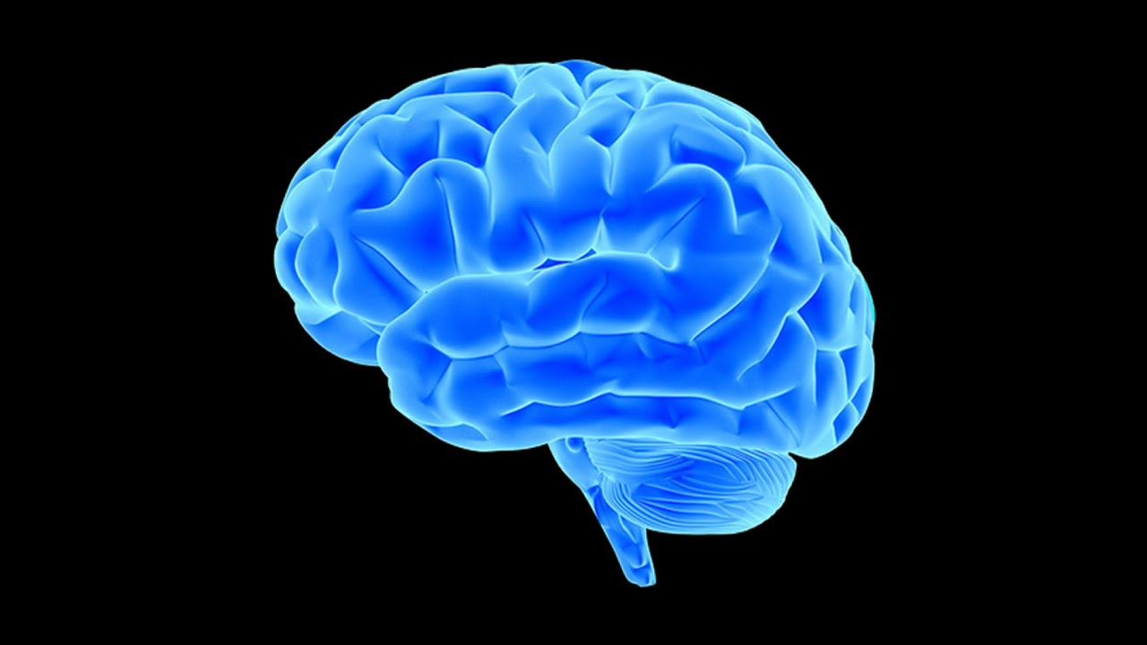 Brain Game on Roblox! - YouTube