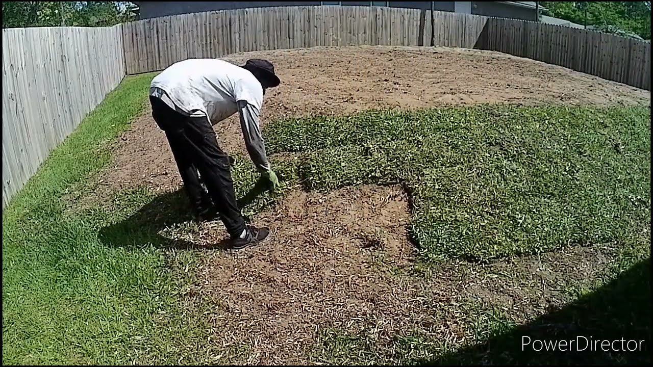 SOD INSTALLATION AMAZING RESULTS PART 1 (MUST WATCH) - YouTube