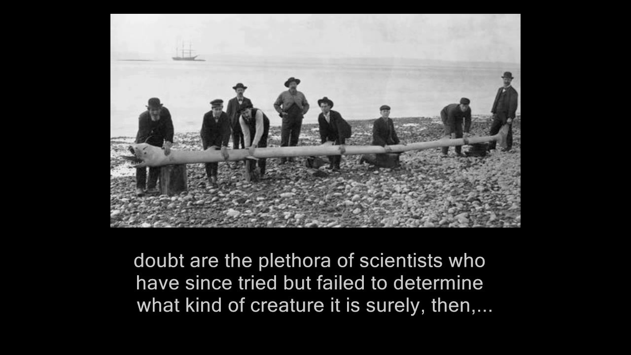 12 Mysterious Photos That Cannot Be Explained 12-mysterious-photos-that-cannot-be-explained