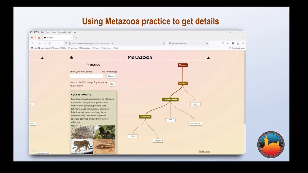 Metazooa Web Game: Some thoughts - YouTube
