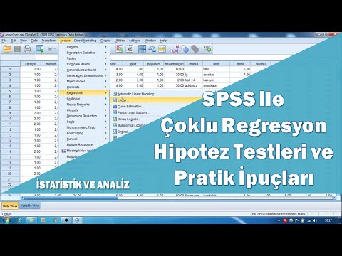 SPSS ile çok değişkenli regresyon analizi hipotez testleri ve çoklu doğrusallık sorunu