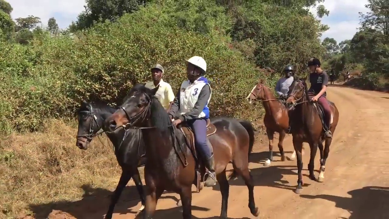 Karen riding stables hack out - YouTube