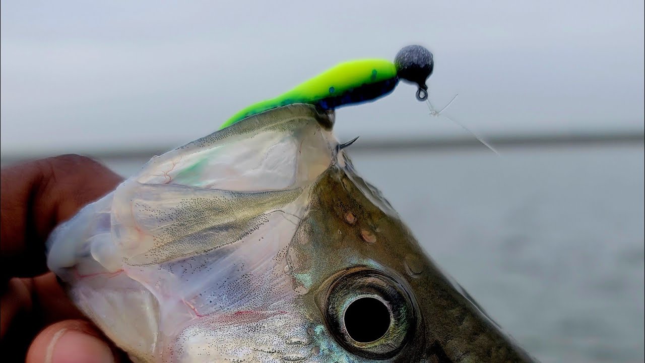 A Hot Jig Color For The Month Of November. Watch This Crappie SMOKE ...