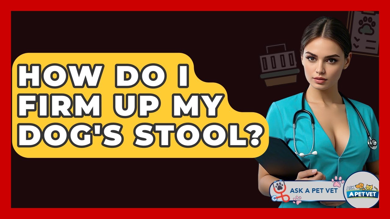 How Do I Firm Up My Dog's Stool? - Ask A Pet Vet - YouTube
