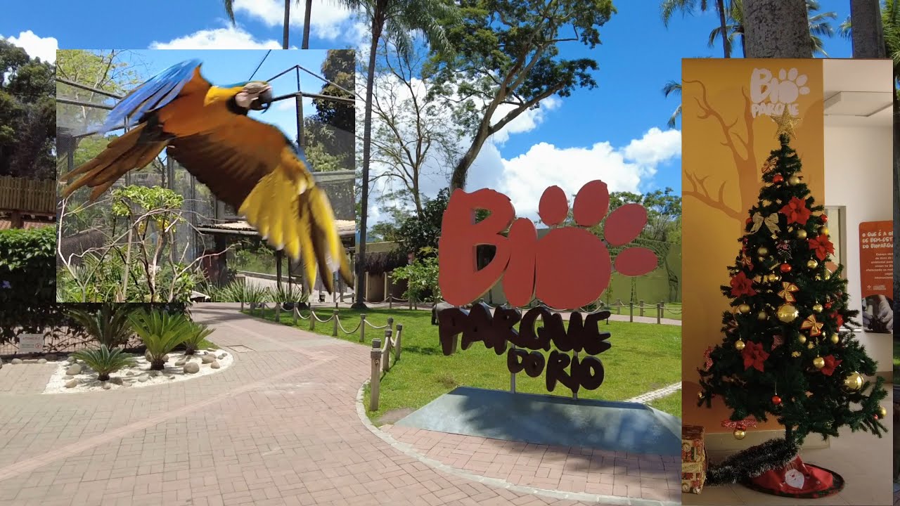 BioParque Rio de Janeiro 4K Slow Motion - YouTube