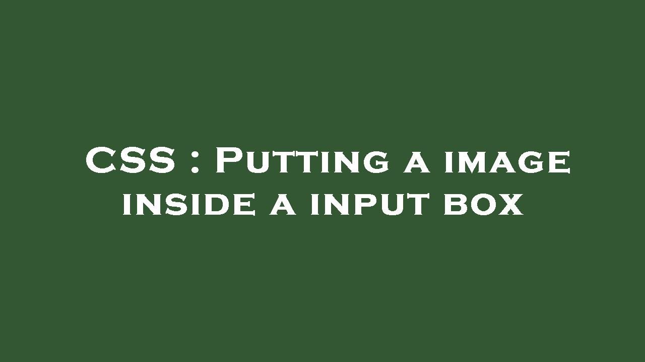 CSS : Putting a image inside a input box - YouTube