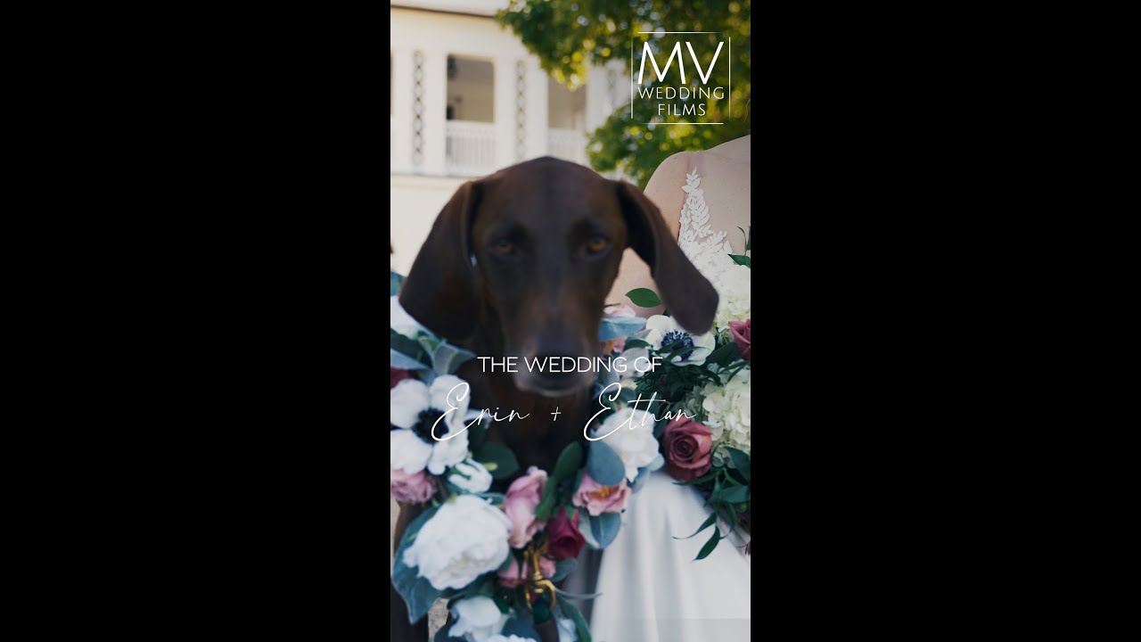 TRAILER: Our Dog "Finley" Films Our Wedding Day - a Keswick Vineyards ...