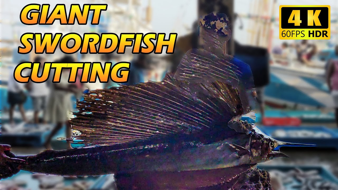 Giant Fish Swordfish Cutting | Amazing Big Swordfish Cutting Skills # ...