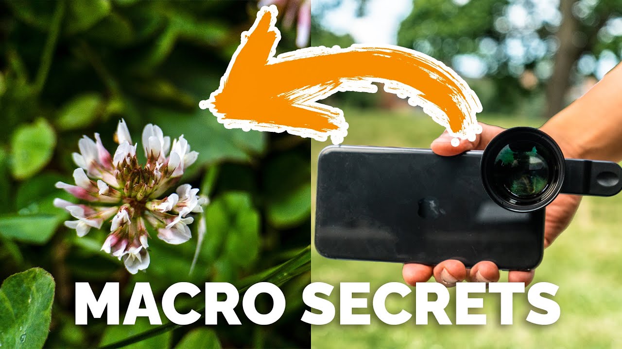The Secret to ORGANIC Macro Photos on Your iPhone - Sandmarc Macro ...