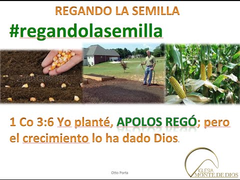 REGANDO LA SEMILLA - YouTube