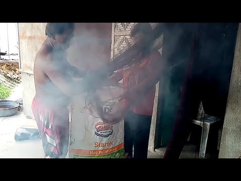 pausok or palina sa bagong lambat. - YouTube