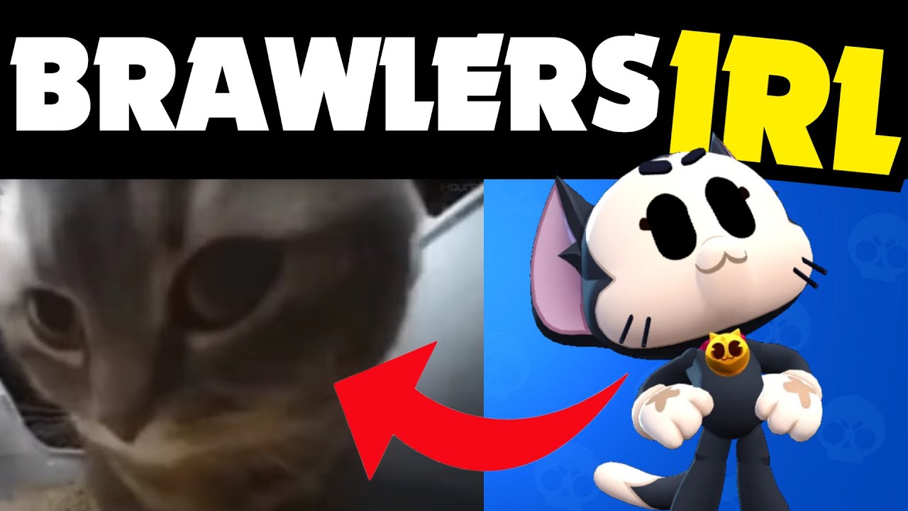 Brawl Stars Brawlers In Real Life part.2 - YouTube