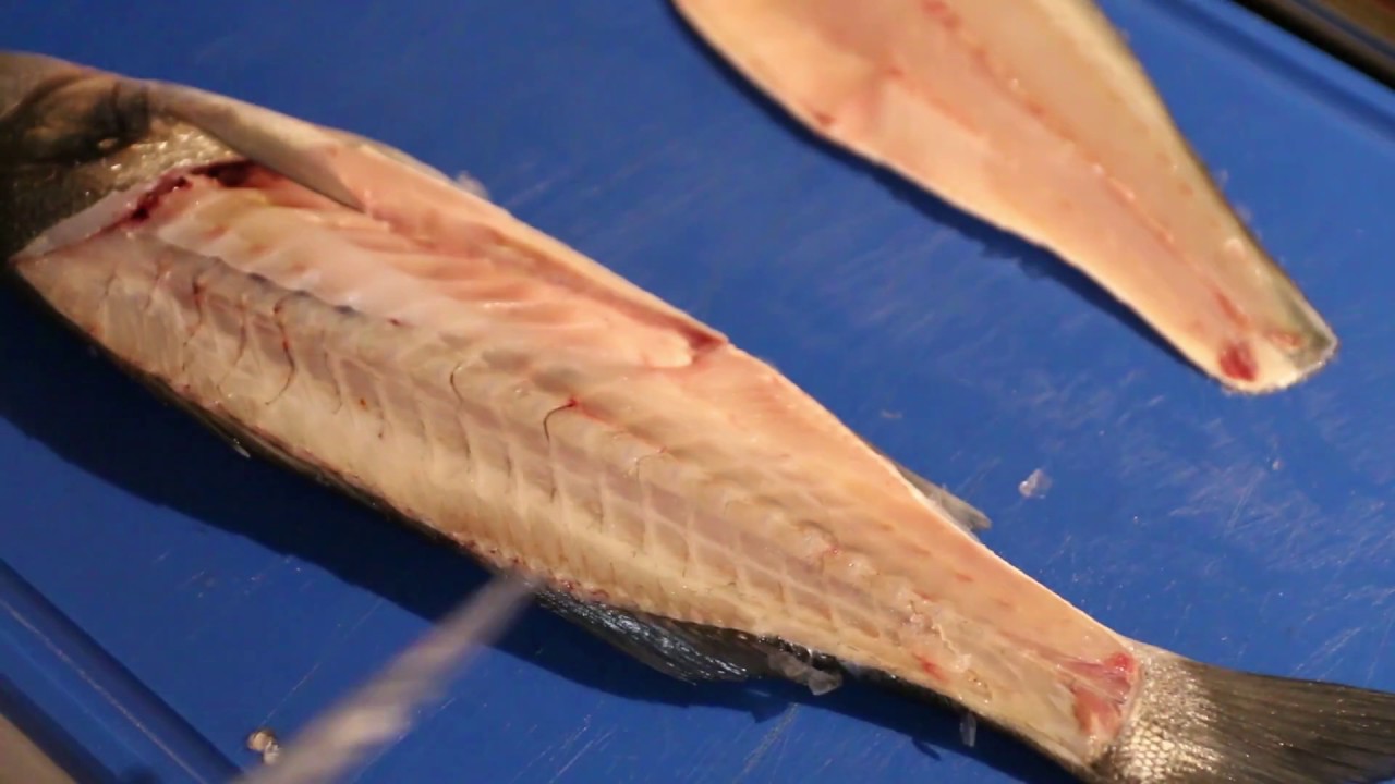 [HOW-TO] Hoe fileer je een zeebaars? | Foodyard - YouTube