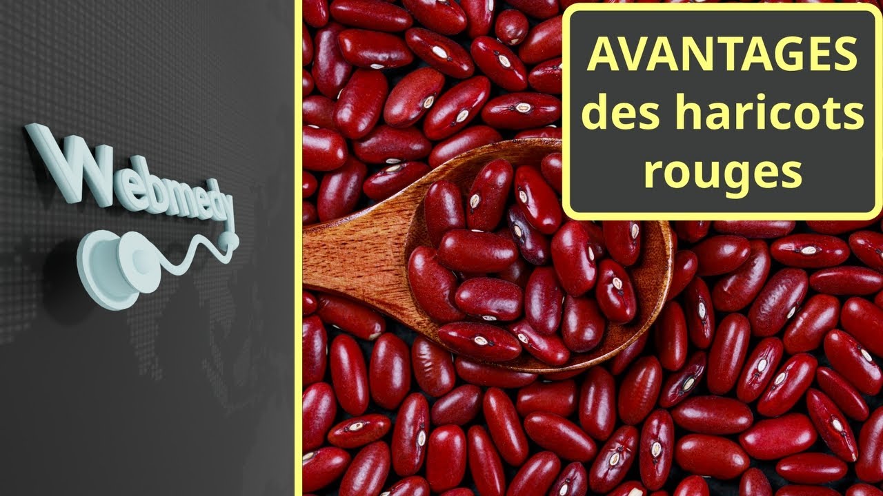 Avantages pour la santé des haricots rouges - YouTube
