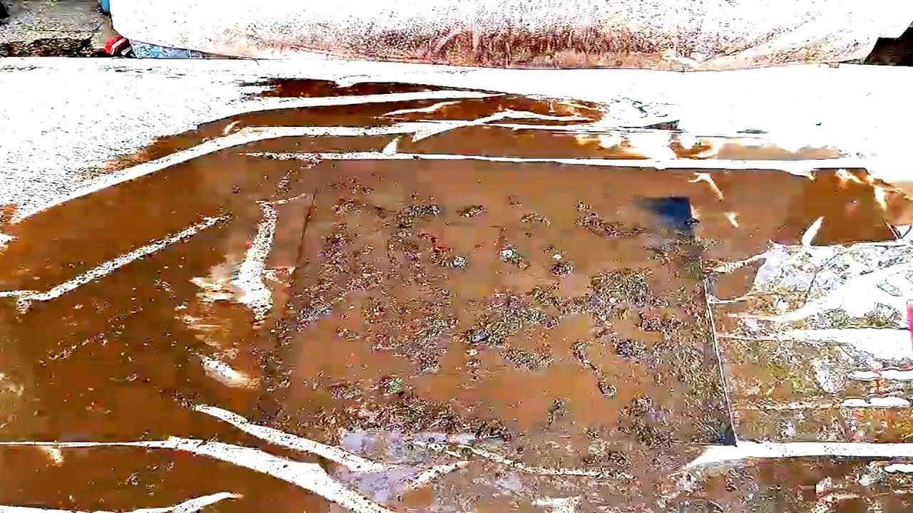 New method against excessive dirt ll Satisfying Carpet Cleaning - YouTube