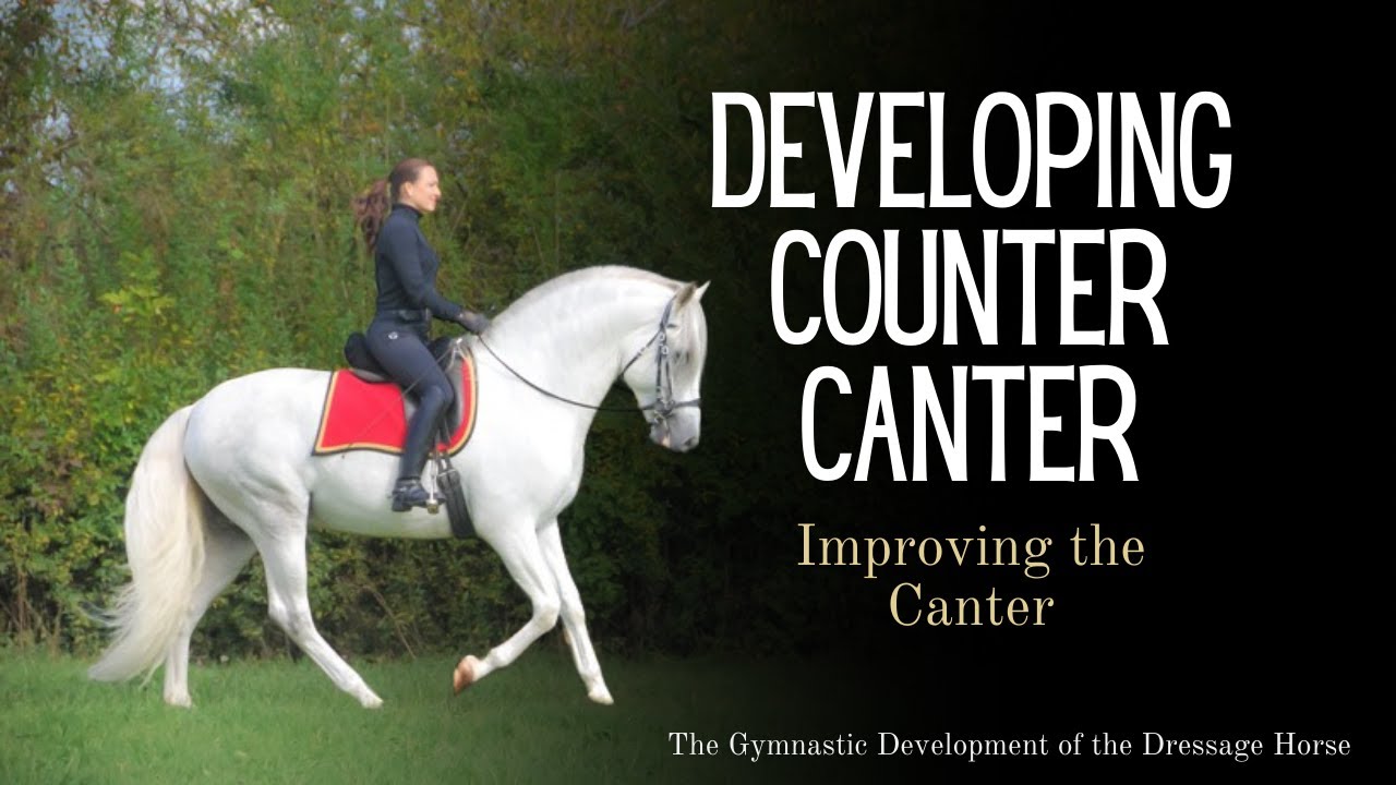 Developing Counter Canter - YouTube