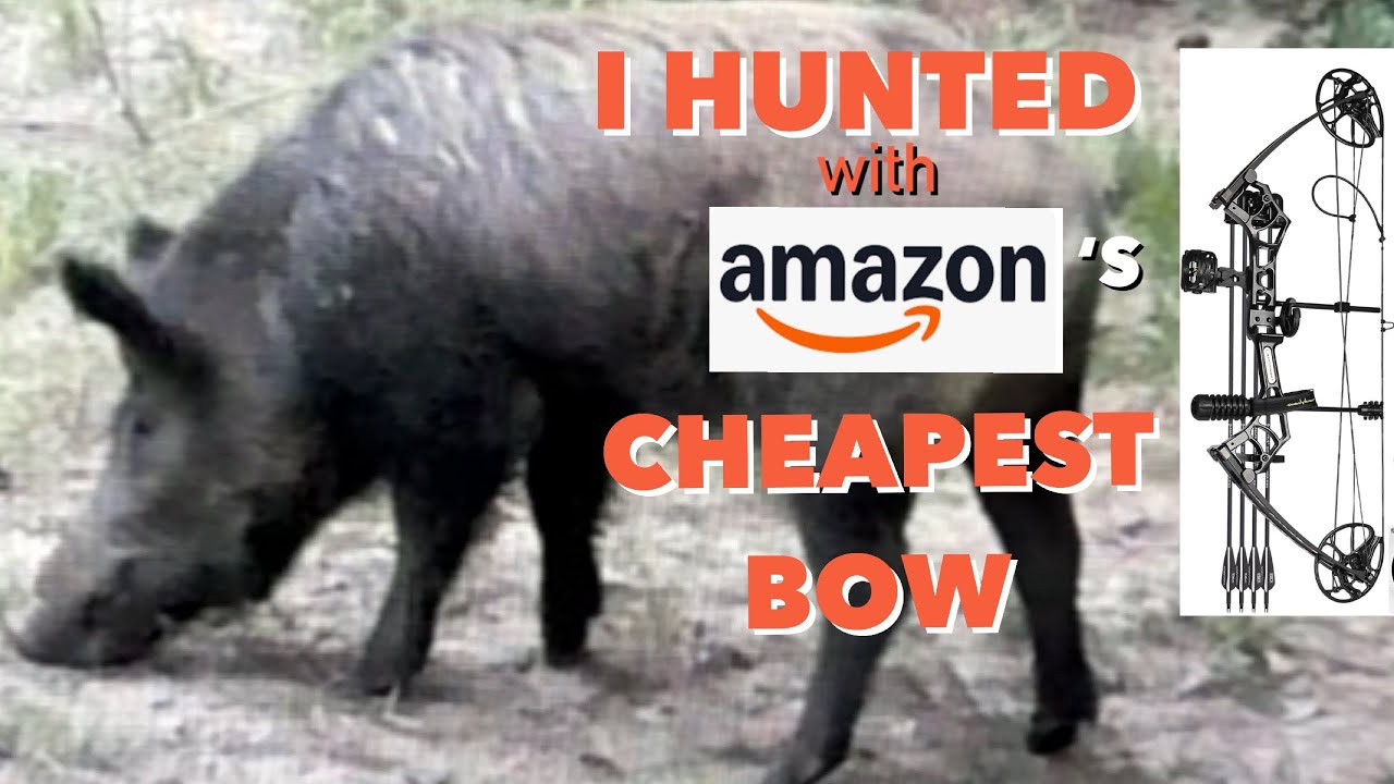 Amazon Cheapest Bow Hunting Challenge - Wild Hog Hunt - Amazon Budget ...