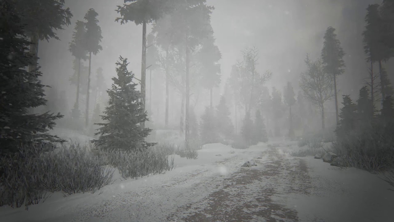 Red Dead Redemption 2│ASMR/Sleep Aid│Blizzard of Blizzards│Howling ...