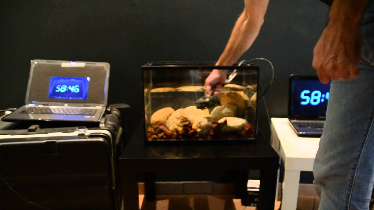 Techaya MILTECH-308 - IP-67 Demo - YouTube