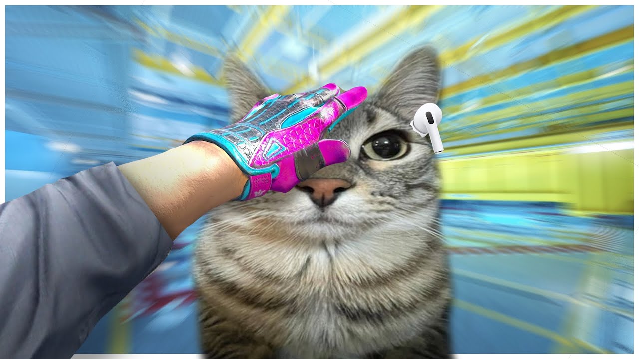 Counter Strike 2 : Silly Cats - YouTube