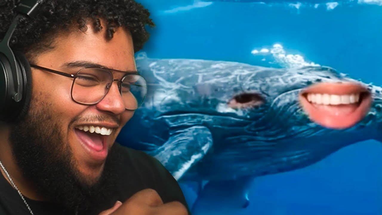 Grizzy REACTS to Broken Humor Memes! - YouTube