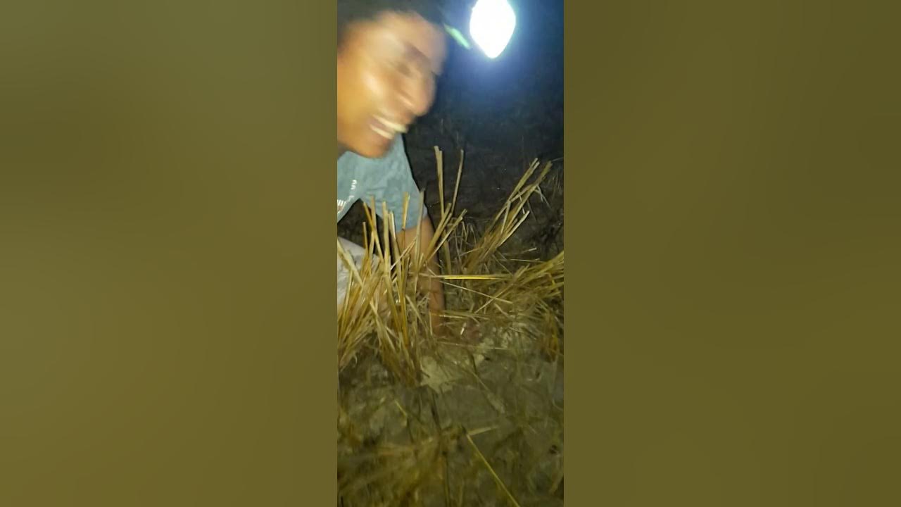 buhay probinsya eps.1 ilaw ng palaka - YouTube