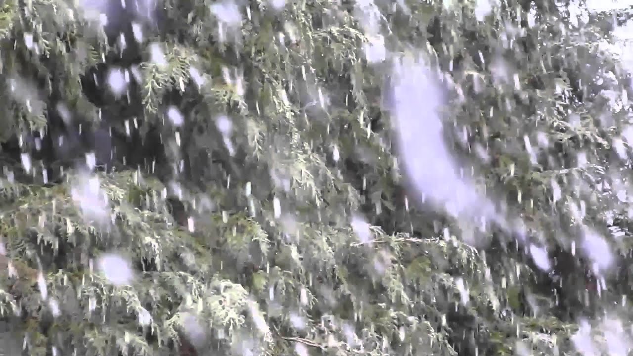 Relaxing music with scene of falling snow... - YouTube