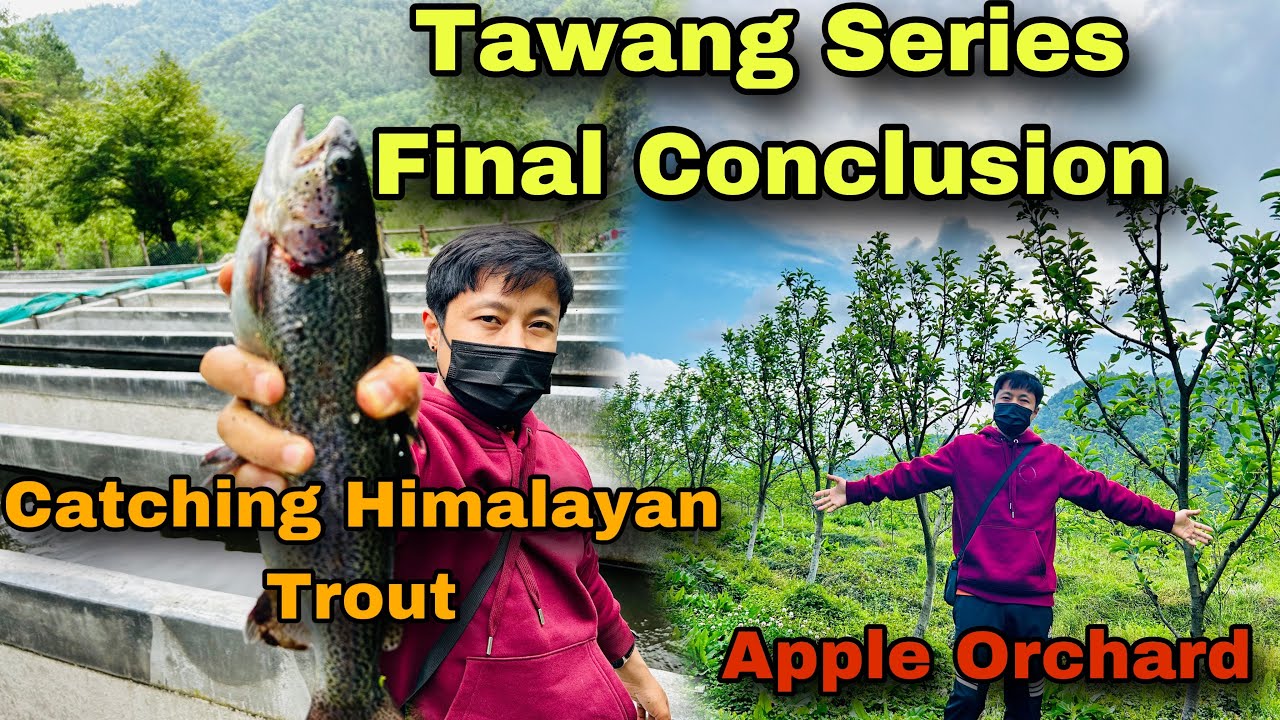 Finally reached home || Adventures while coming back home || Caught ...