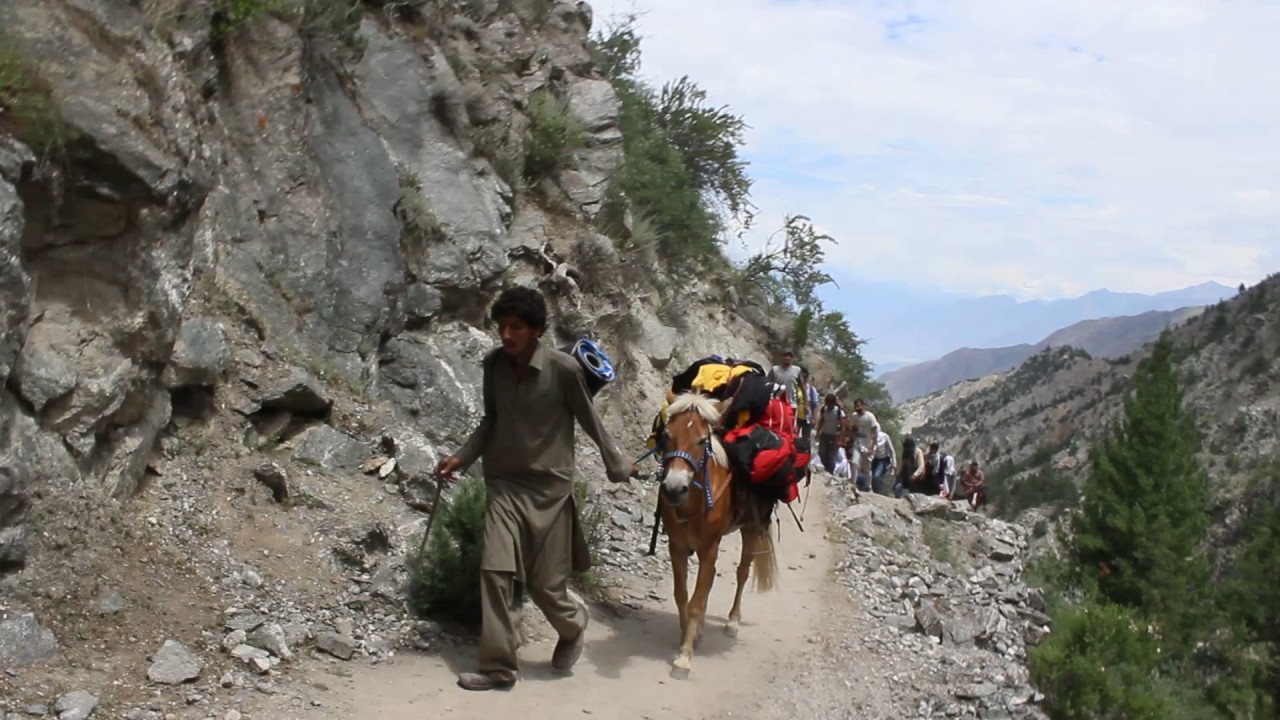 Fairy Medows || Pakistan beautiful place || Hiking Track 2 - YouTube