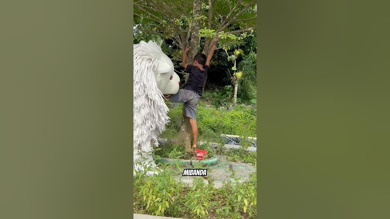 Bocil ff dikejar MACANAN sampe manjat pohon - YouTube