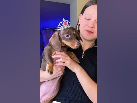 НАША ПРИНЦЕССА - YouTube