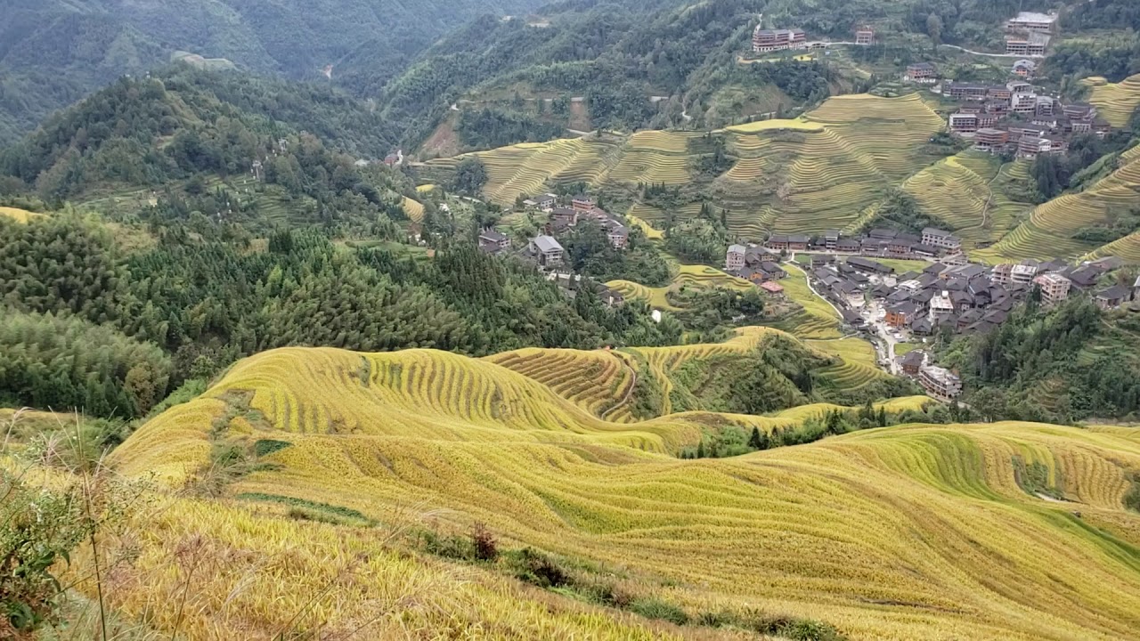 Longji Rice Terraces Guilin, Guangxi, China - October 16, 2019 - YouTube