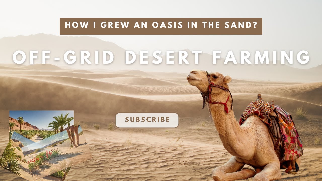 Off-Grid Desert Farming: A Sustainable Oasis in the Desert - YouTube