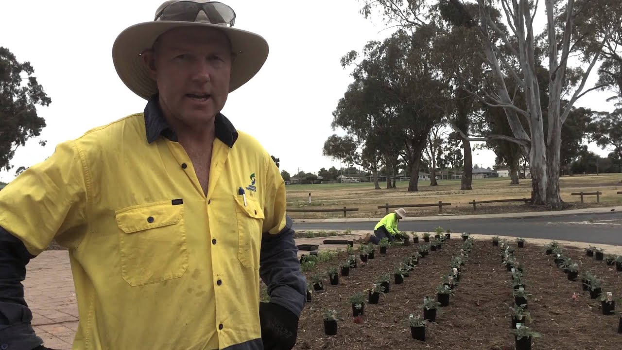 WORKS UPDATE: Greater Shepparton Parks and Gardens Landscaping - YouTube