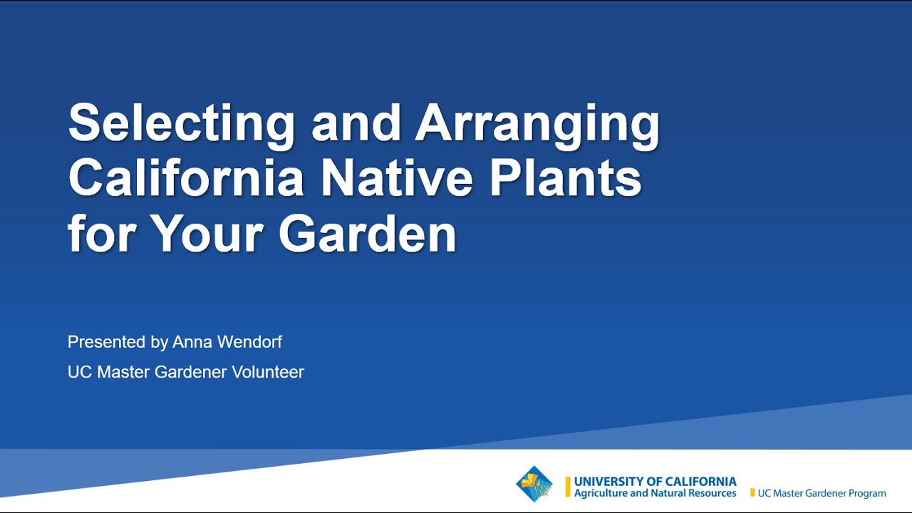 Selecting and Arranging California Native Plants for Your Garden - YouTube
