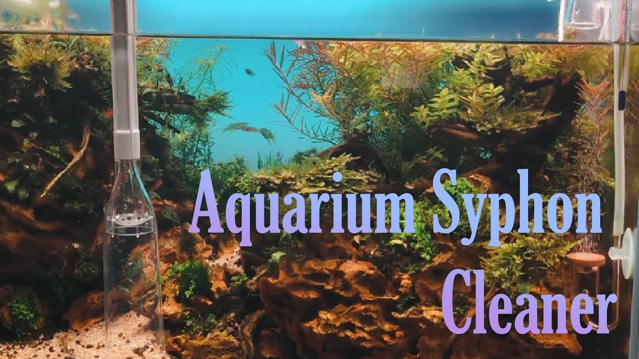 Unboxing Aquarium Syphon Cleaner - YouTube