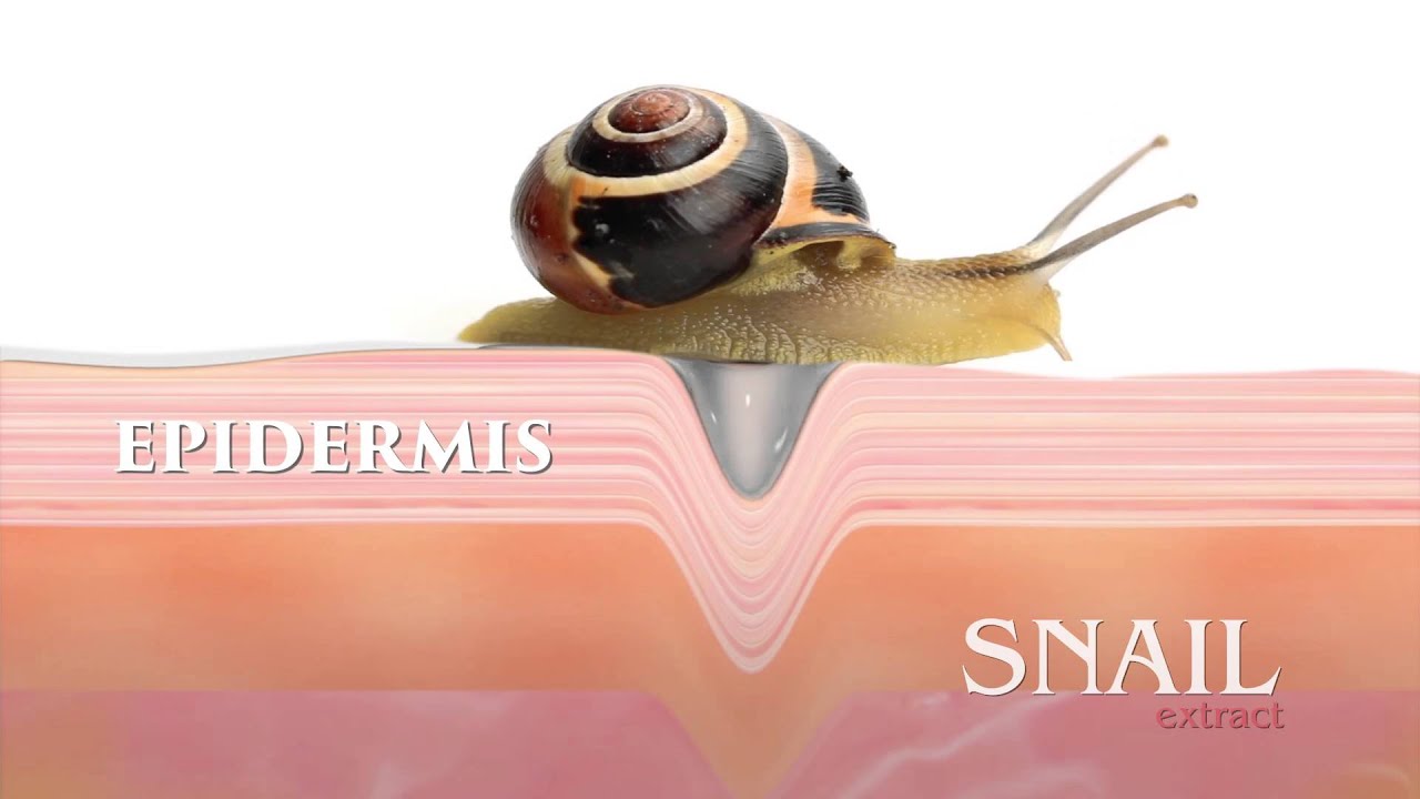 Victoria Beauty Snail extract - YouTube