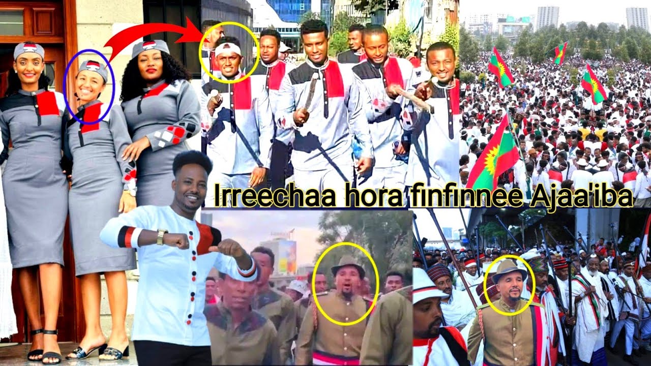 Hadha wabi hacalu fakate dhufte har'a irreecha finfinne😭 Jawar dhamsa ...