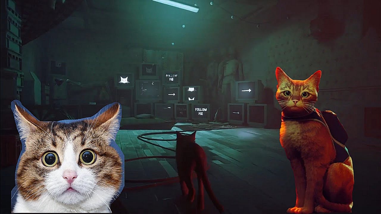 Gato Escapa de los Robots 👀 - Stray (Videojuego) - YouTube