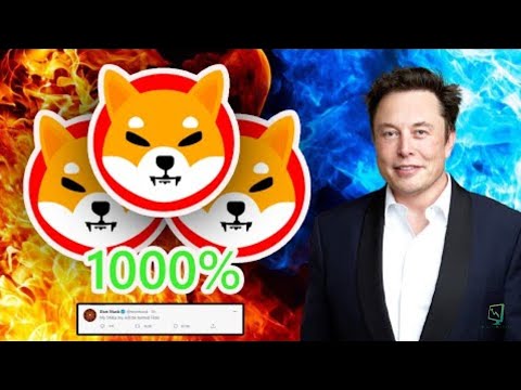 How to buy floki token | Elon Musk Massive Update| My Shiba Inu Will Be ...