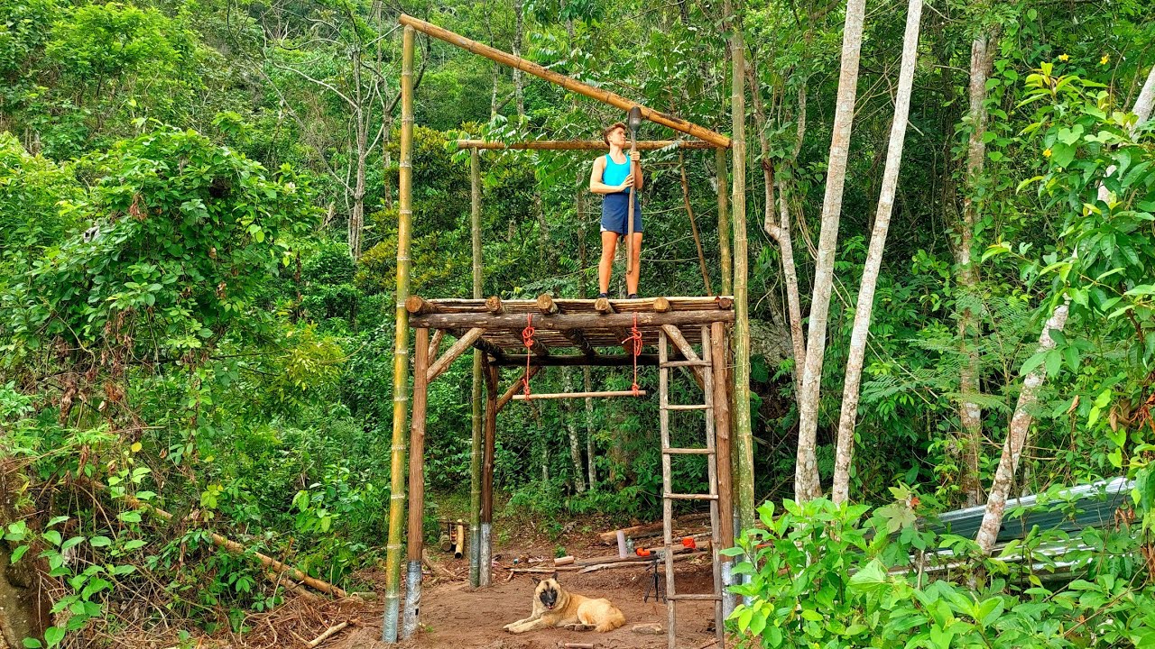 #4 Roof ready, wooden structure completed, building a small 2-step ...