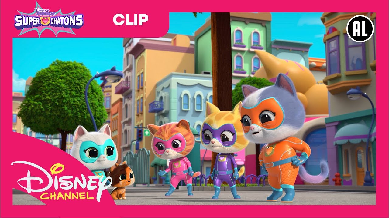 Super Chatons | Le Chaton Errant | Disney Channel BE - YouTube