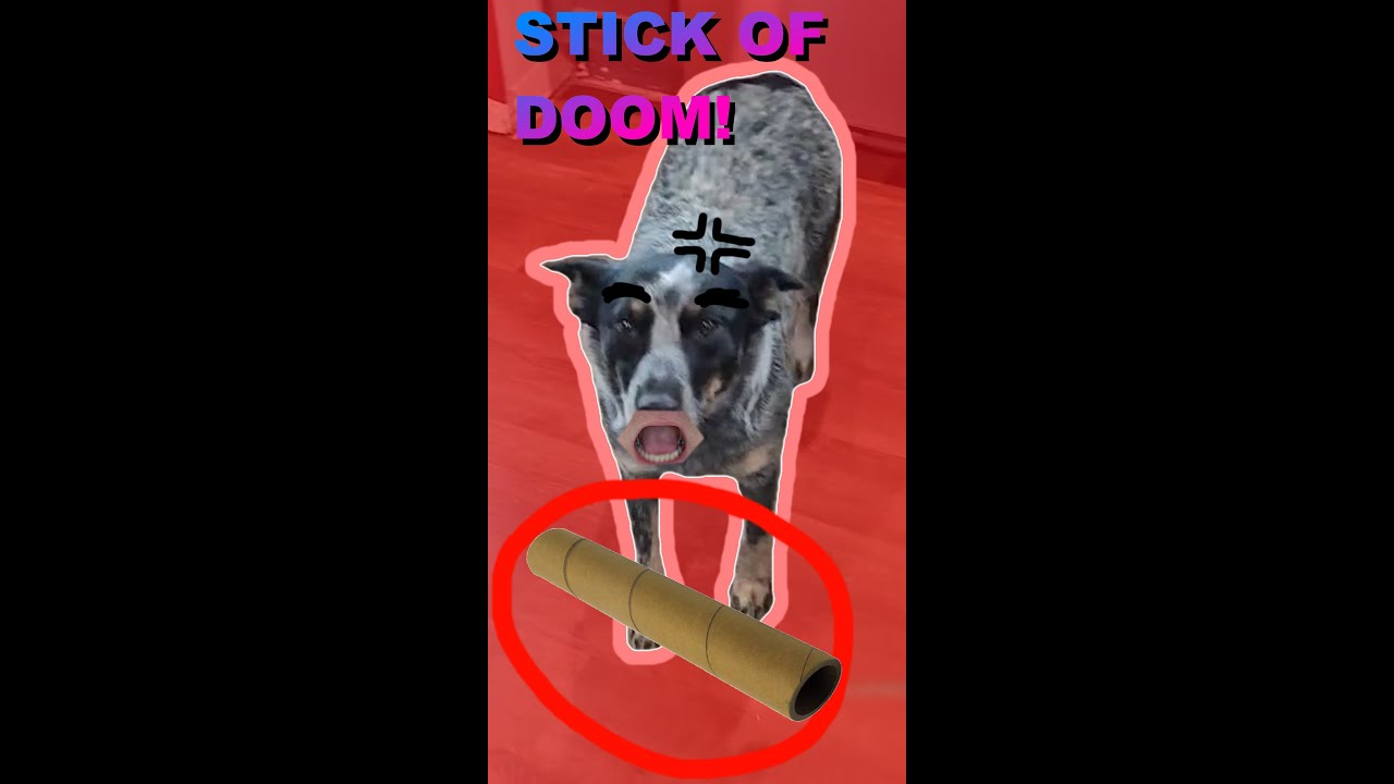 Stick Of Doom!!! Dog Meme - YouTube