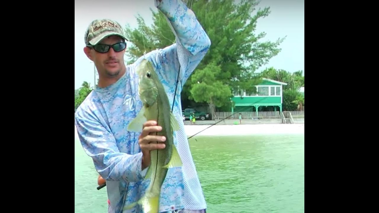 How To Catch Snook Fishing at Rod and Reel Pier - YouTube