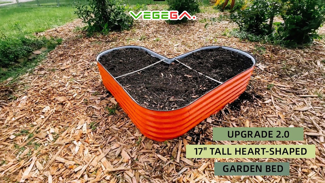17" Tall Heart Shaped Galvanized Planters VEGEGA - YouTube