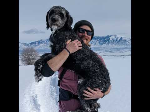Kyle Cheney Live Stream - YouTube