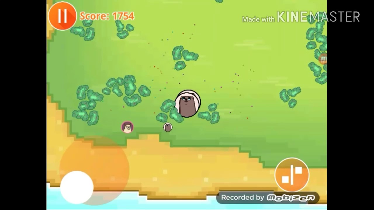 ( CAT. IO) DESTROYING CATS AND FRESH 5K - YouTube
