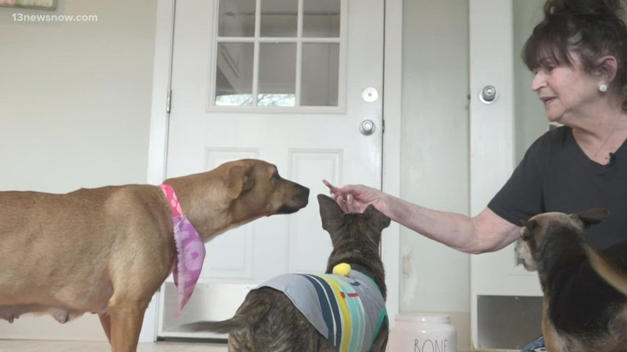 Paws for Charity: Hope for Life gives at-risk pets second chance in ...