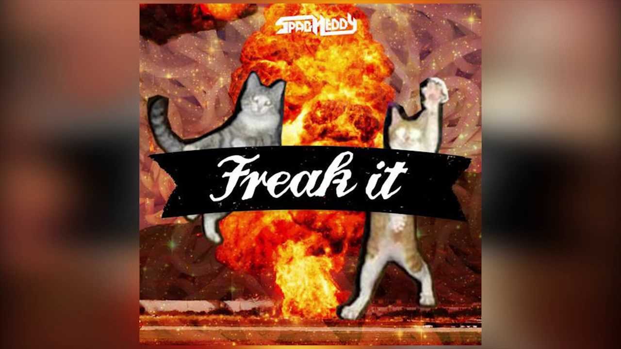 [DUBSTEP] Spag Heddy - Freak It (EH!DE Remix) *FREE* - YouTube