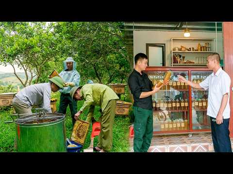 Trieu Duc Harvests Honey - The Sweet Reward After Days of Care